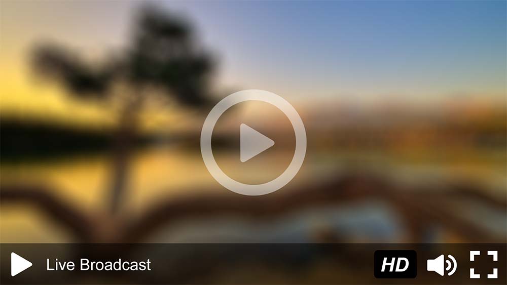 Watch ATV Turkey Live Free